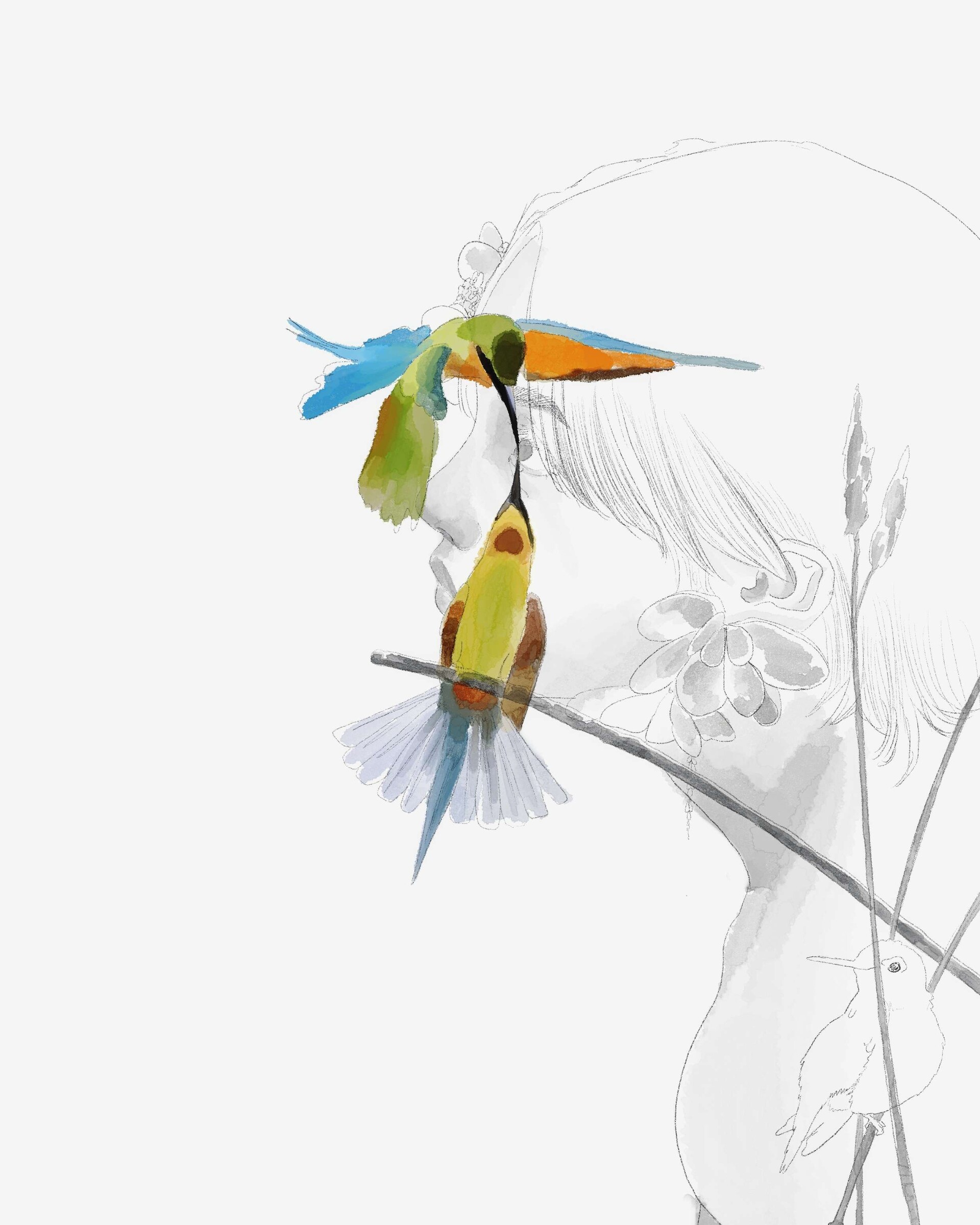 ArtStation - Chara Design - "Human and Birds"