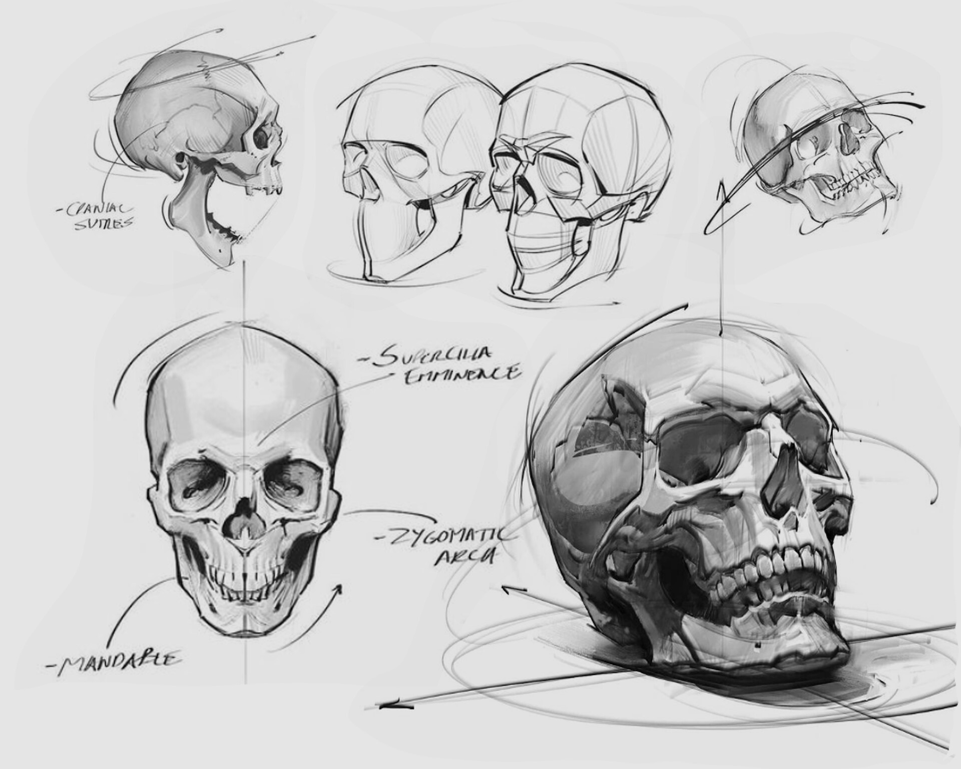 ArtStation - Skulls