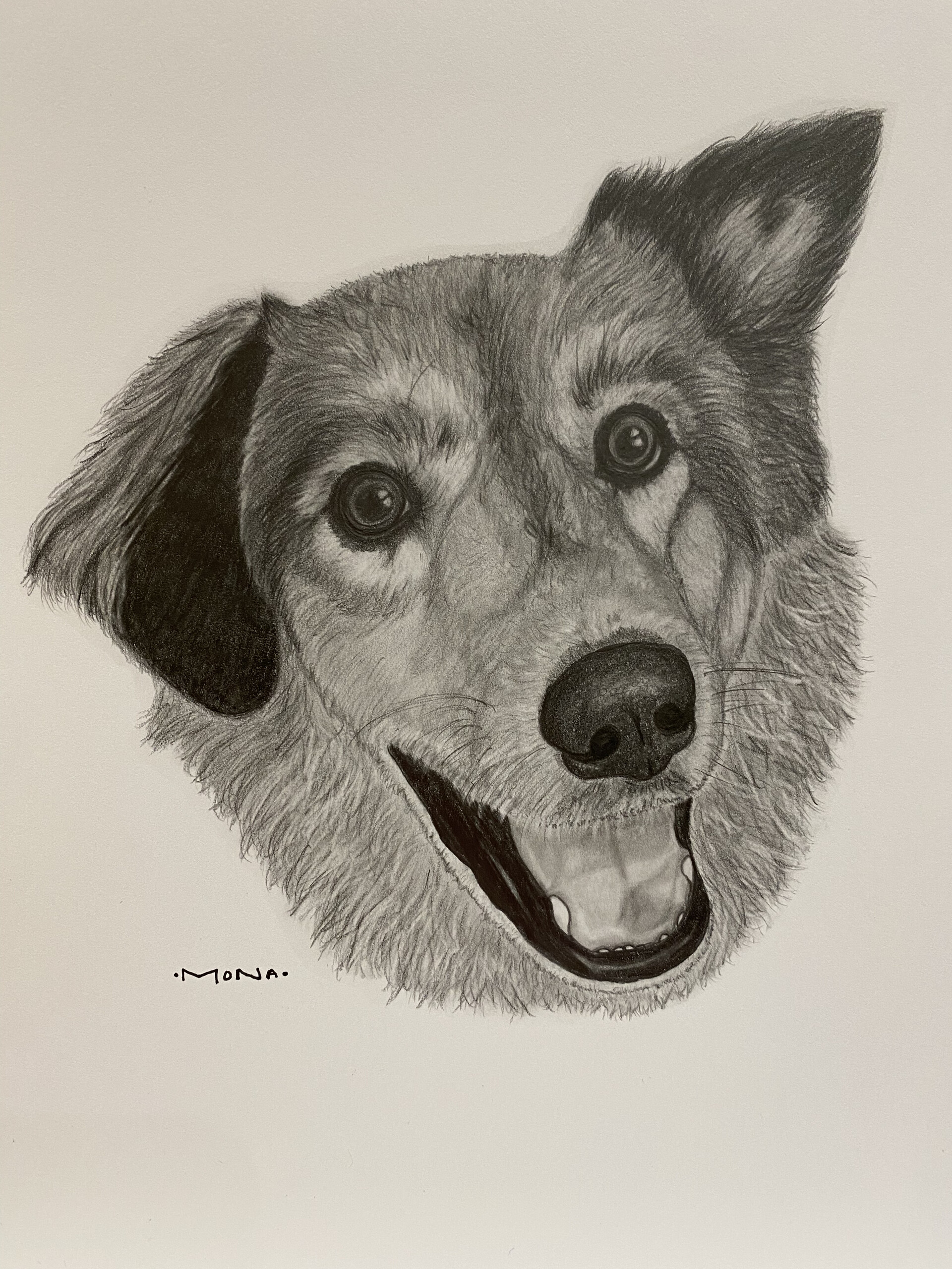 ArtStation - Frankie