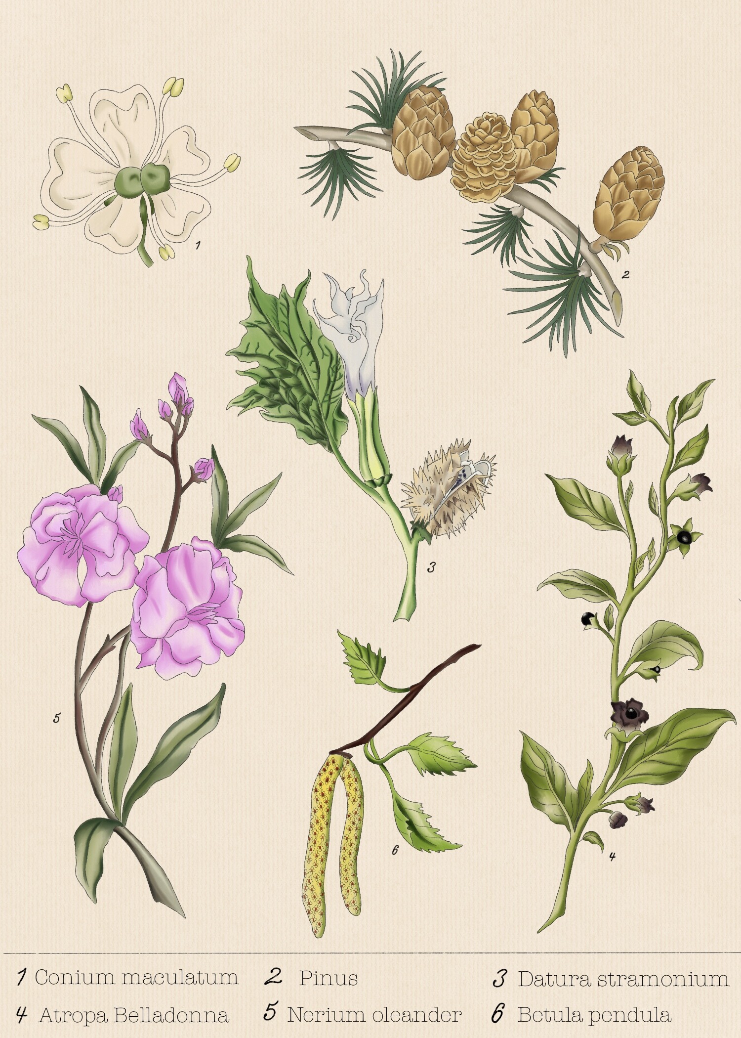 ArtStation - Deadly Botany