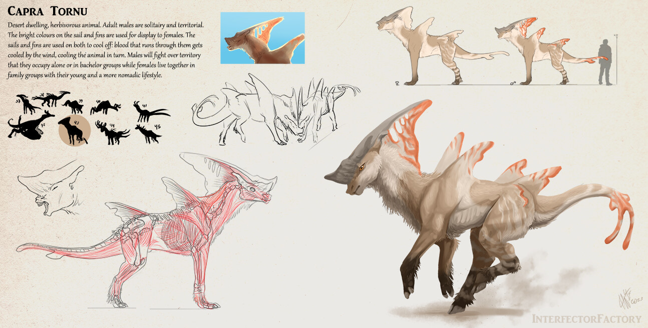 ArtStation - Creature design: Capra Tornu