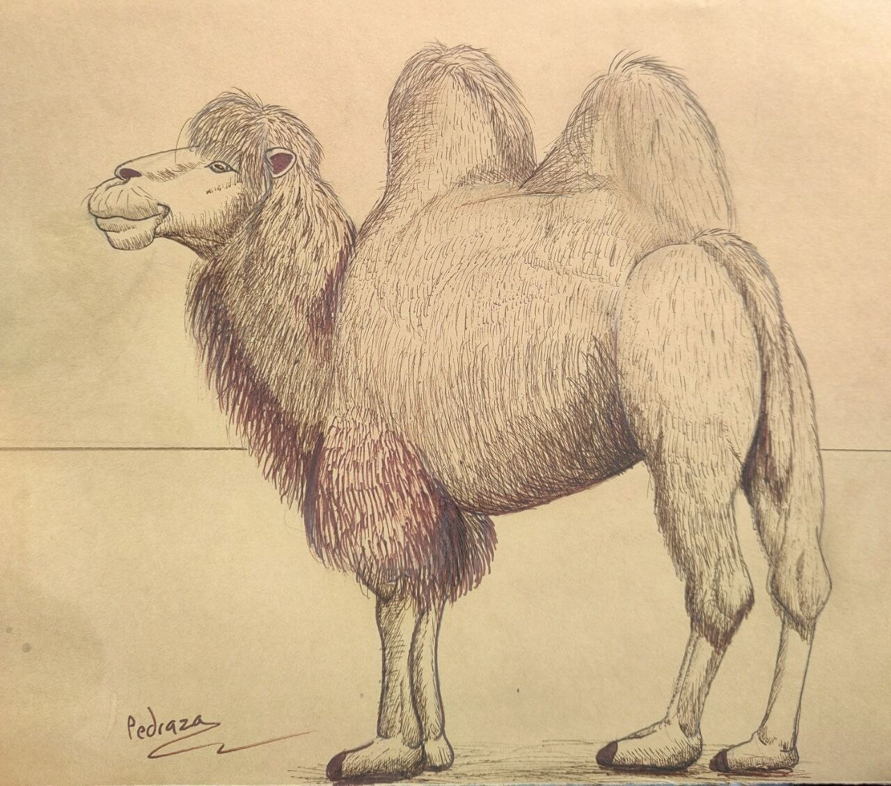 ArtStation - 35 Camel
