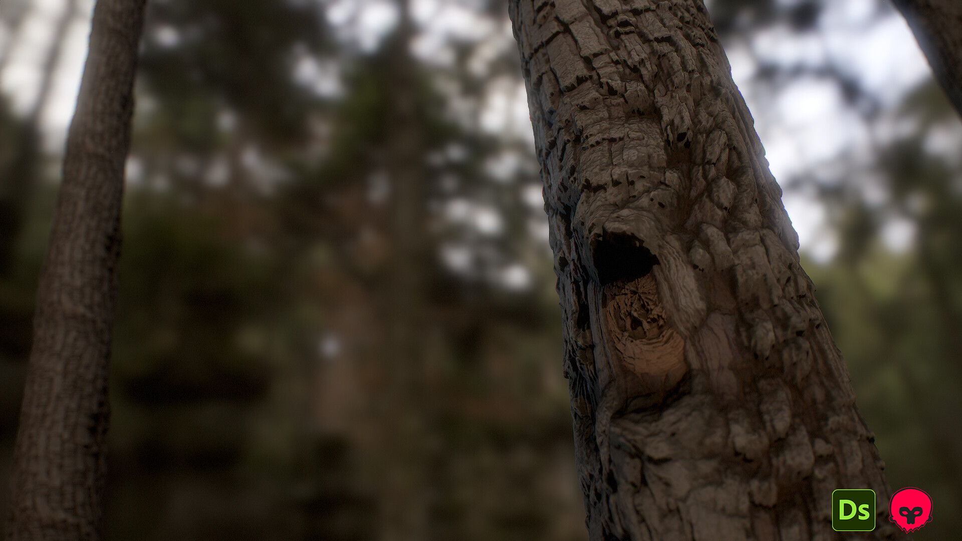 ArtStation - Tree Bark Material