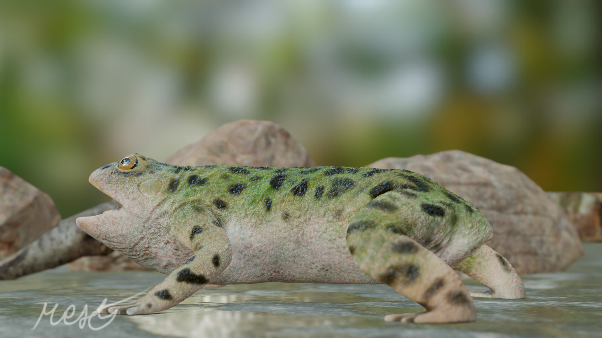 ArtStation - 3D model of Triadobatrachus massinoti