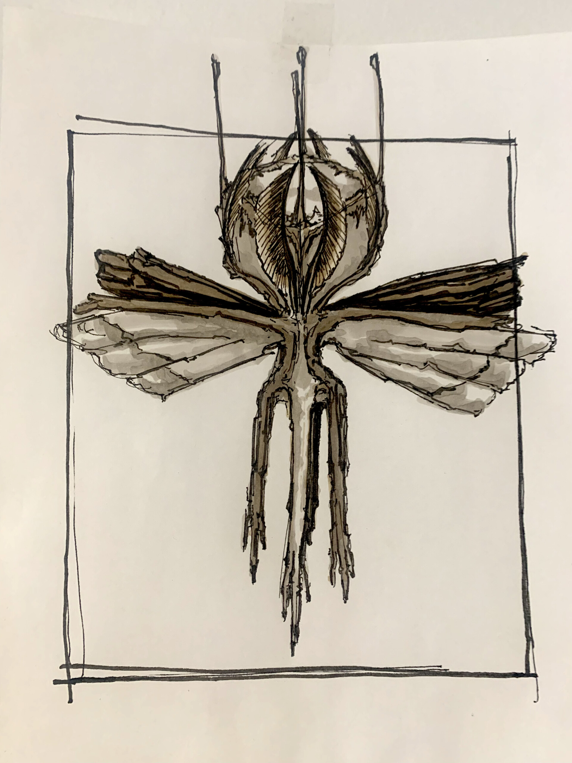 ArtStation - Aliens - Study