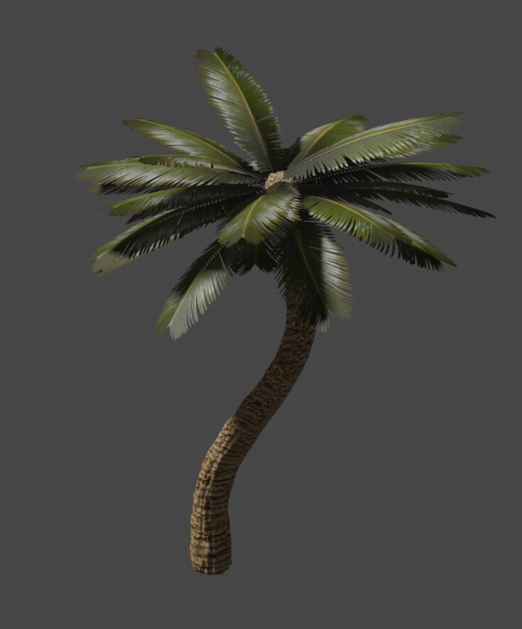ArtStation - Palm Tree