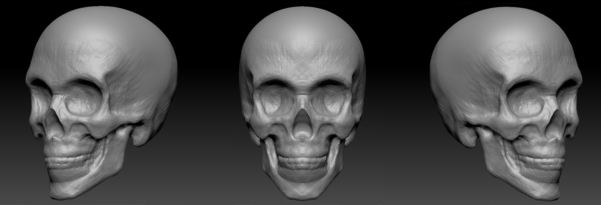 ArtStation - Skull and muscle exercises