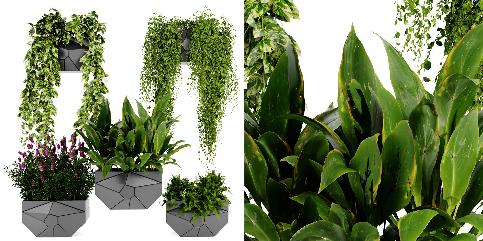 ArtStation - Collection plant vol 501 - blender model