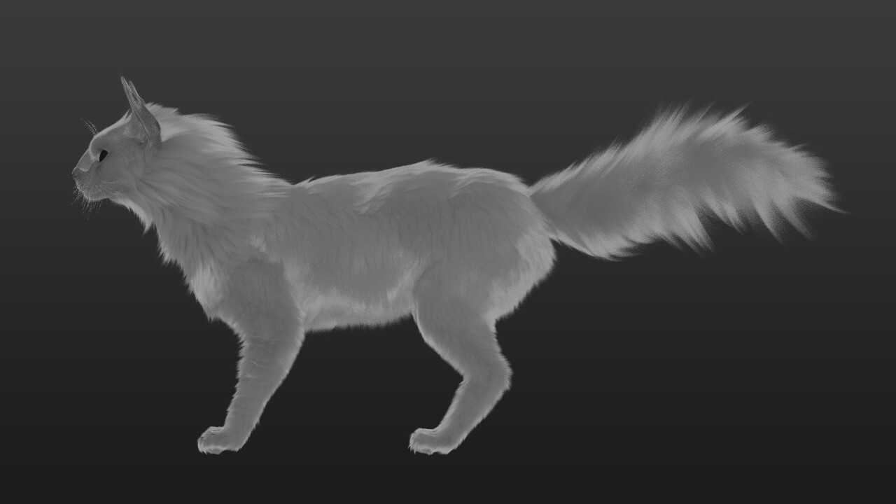 Timeea Rublic - Cat hair - Houdini Grooming