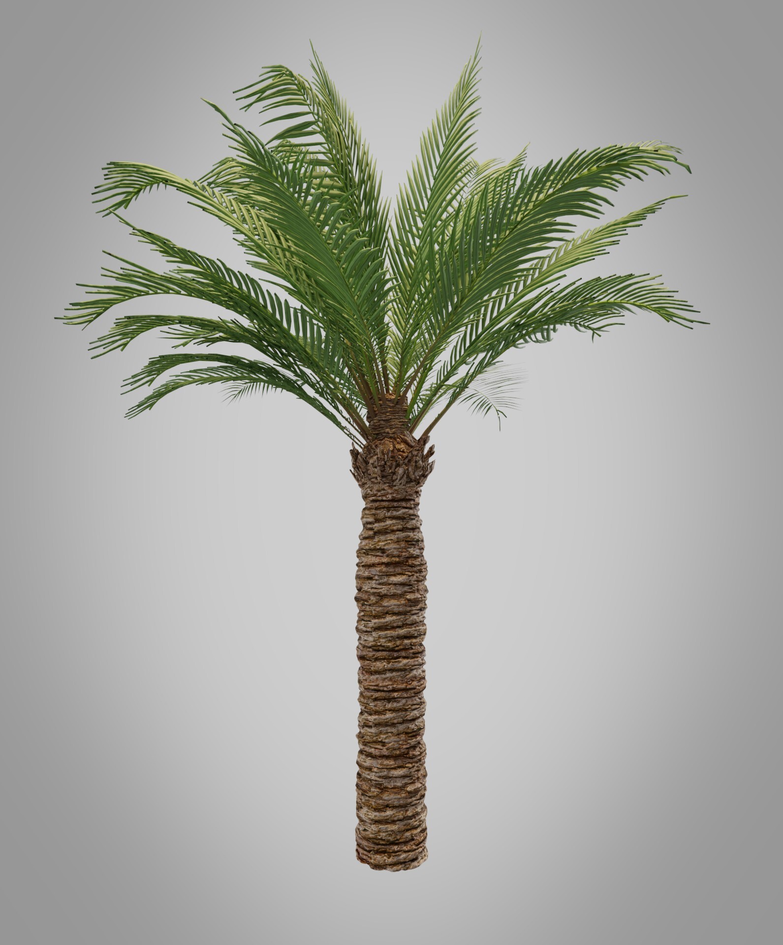 ArtStation - 3D Flora Models for VR/AR Web-Ready Use