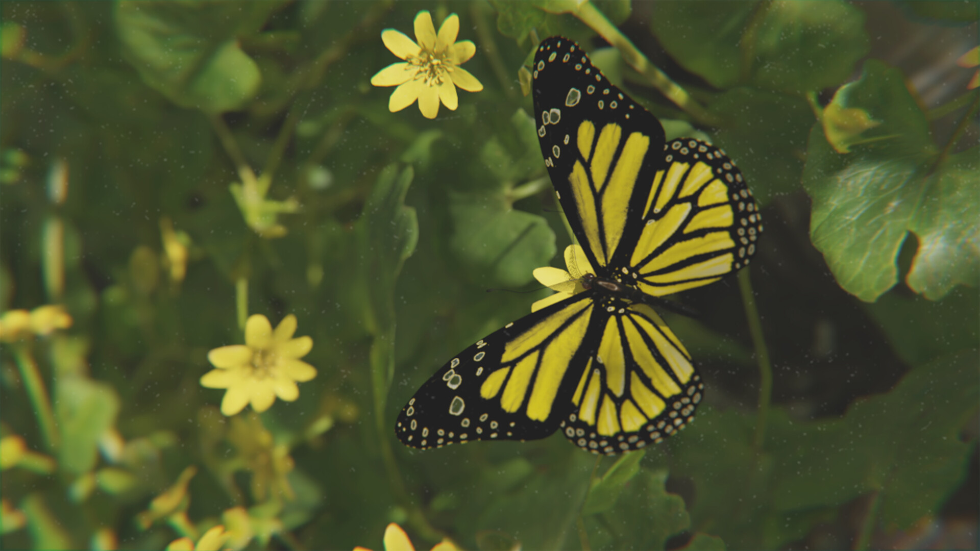 ArtStation - BUTTERFLY EEVEE RENDER