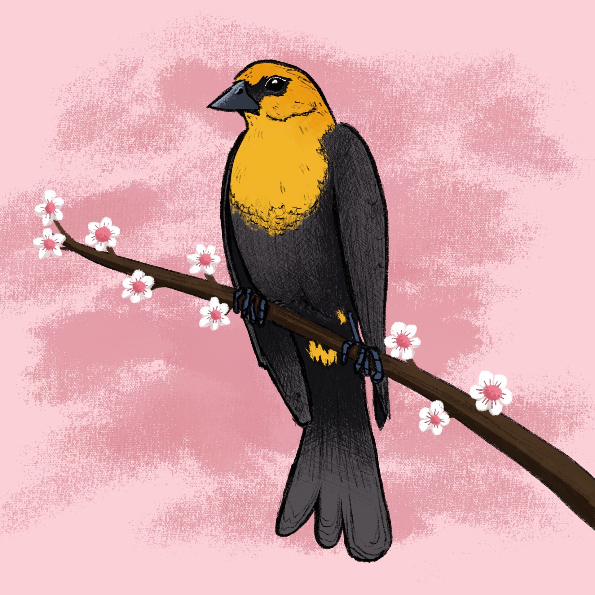 ArtStation - Digital Bird Series