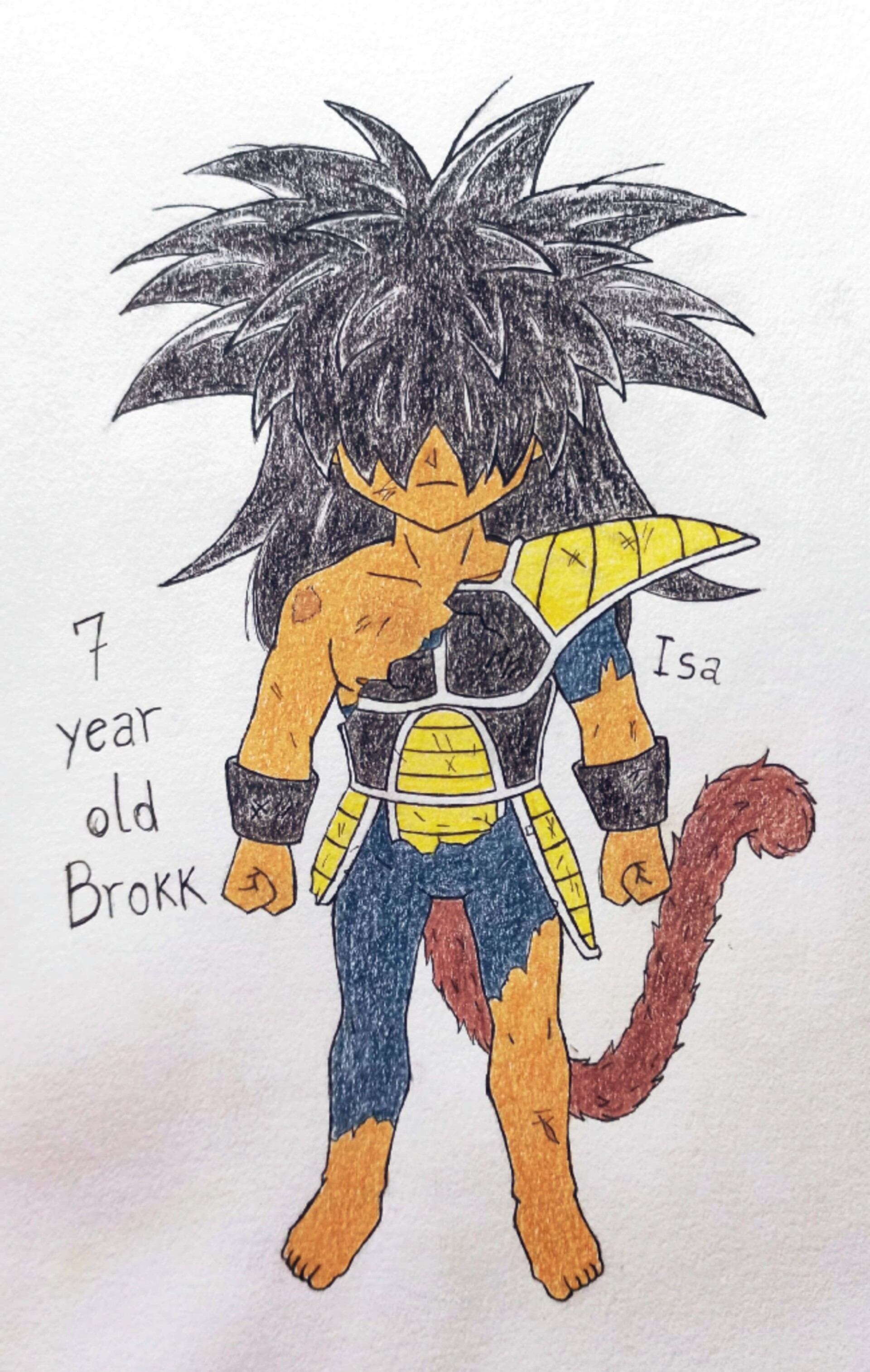 Isabelle dos Anjos - (DBS Broly's Redesign) Brokk's Full Body Reference