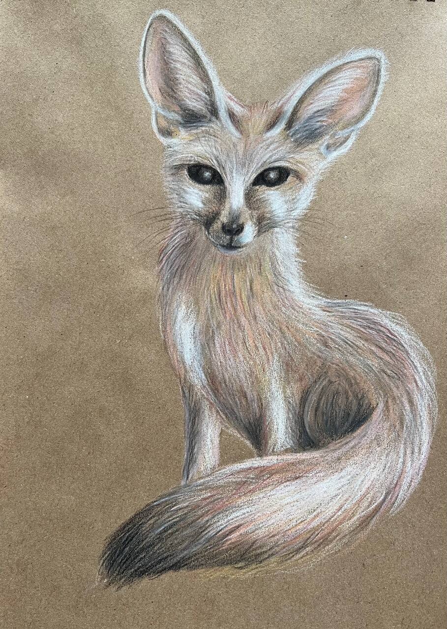 Fennec Fox Drawing Tutorial