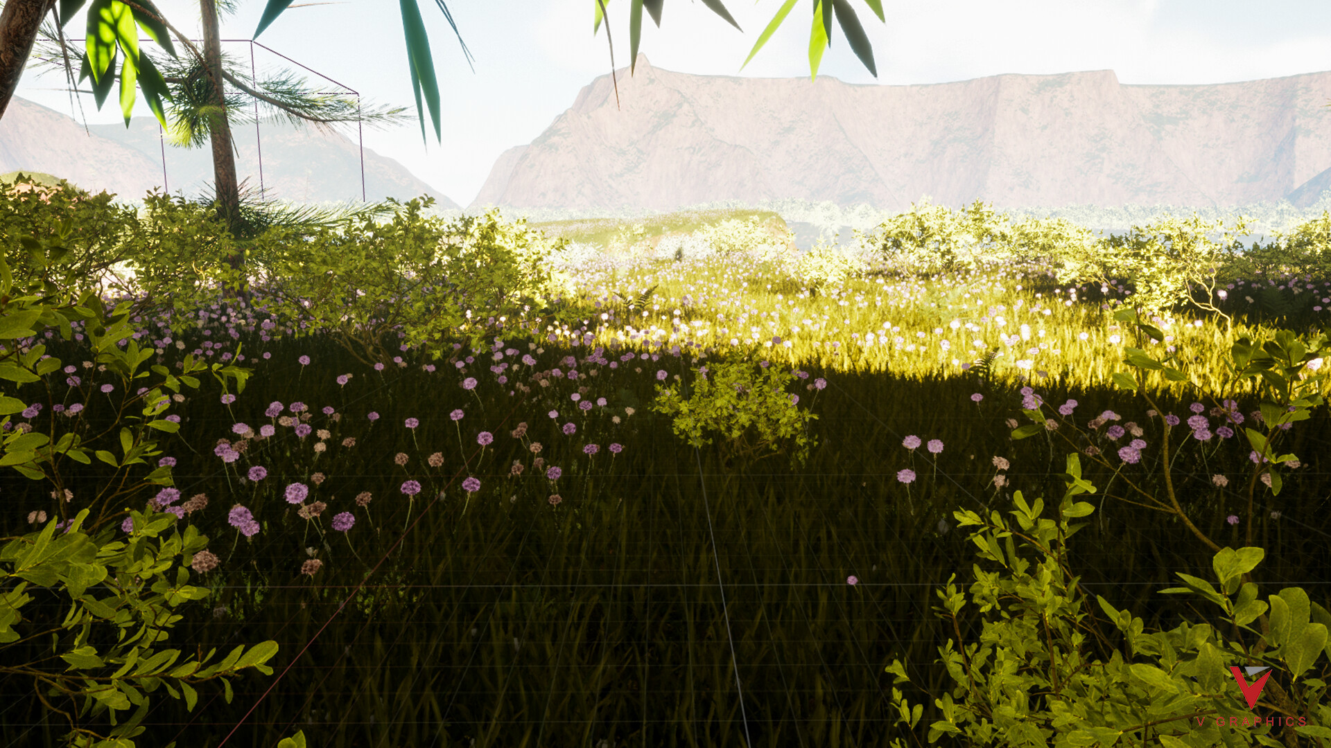 V Graphics - Forest Game Environment