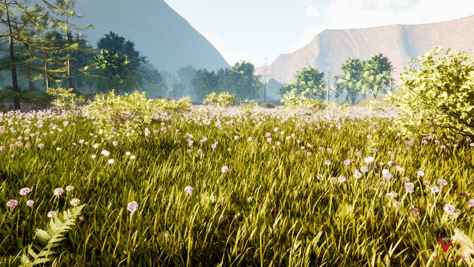 V Graphics - Forest Game Environment