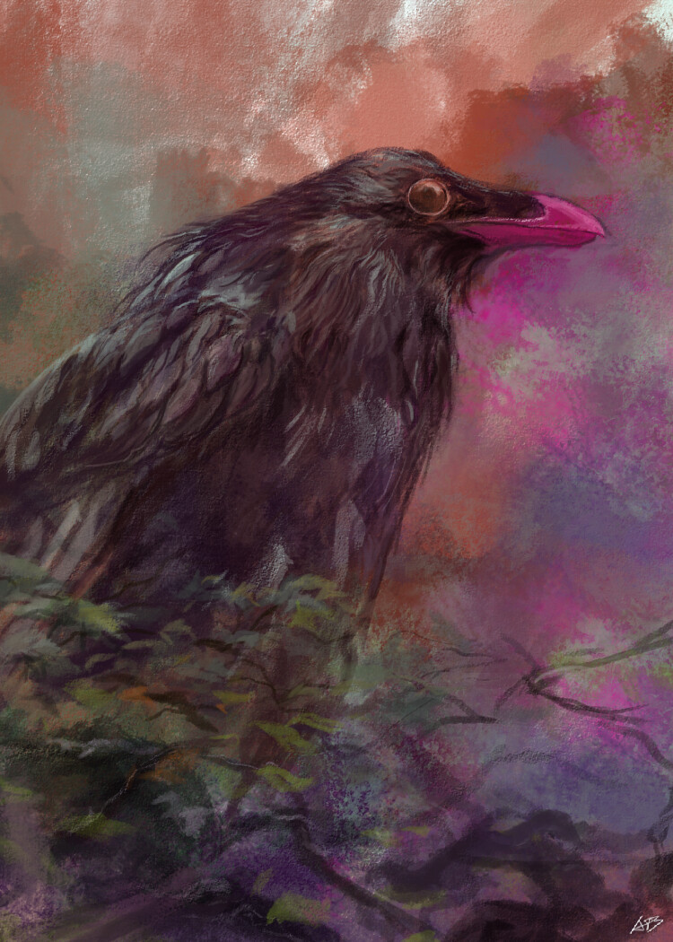 ArtStation - Colorful Raven