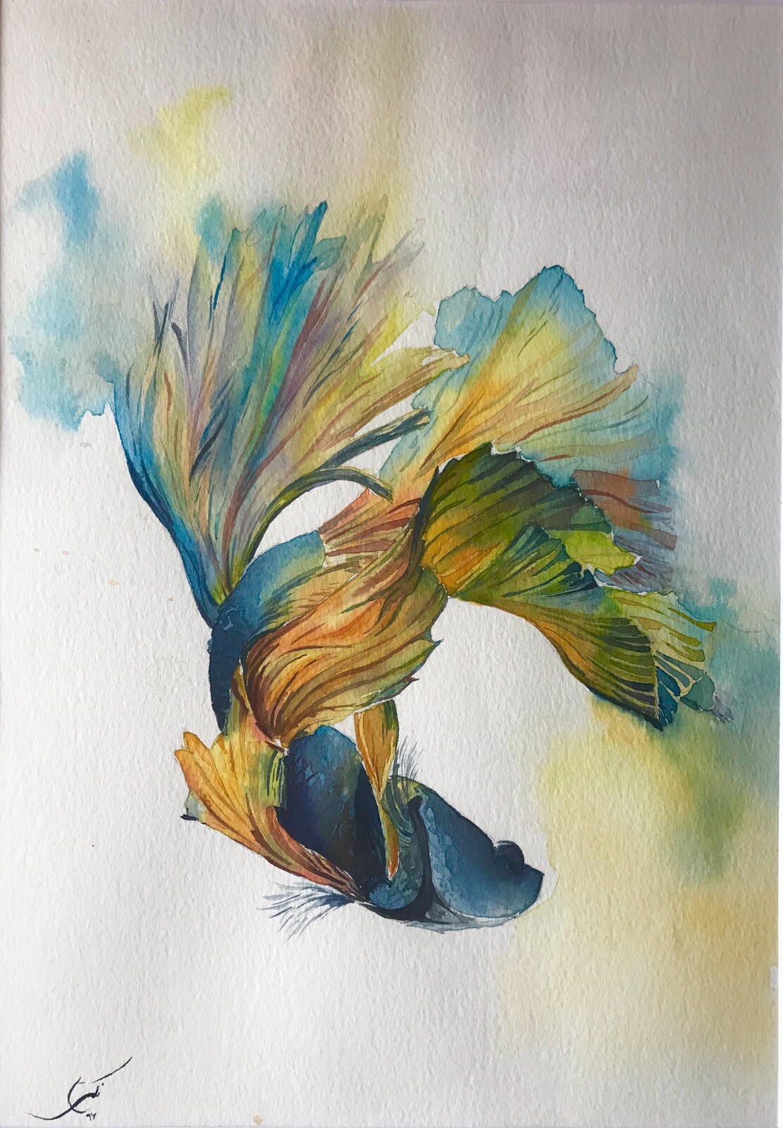 Negin Beygi Personal Portfolio