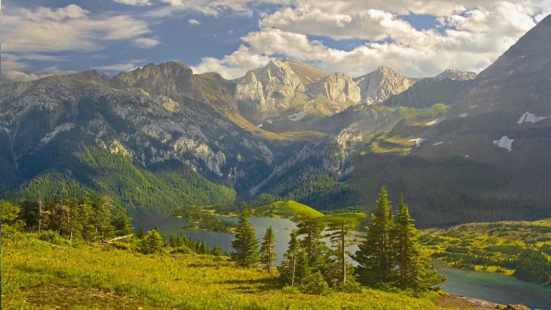 ArtStation - Mountain Forest View