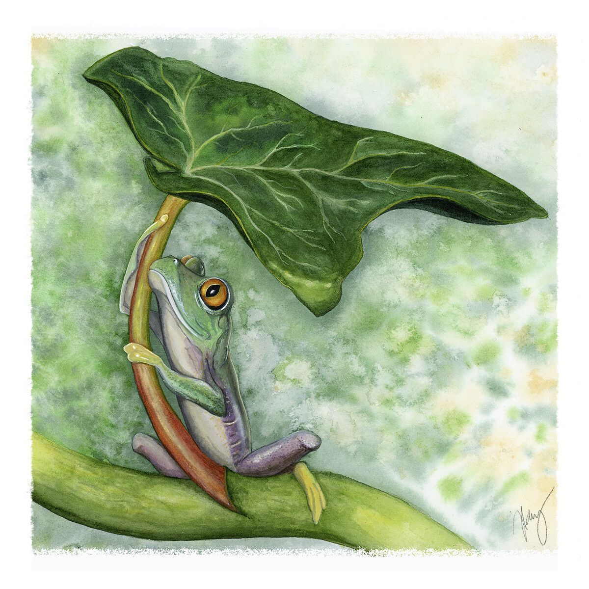 ArtStation - Frog with leaf