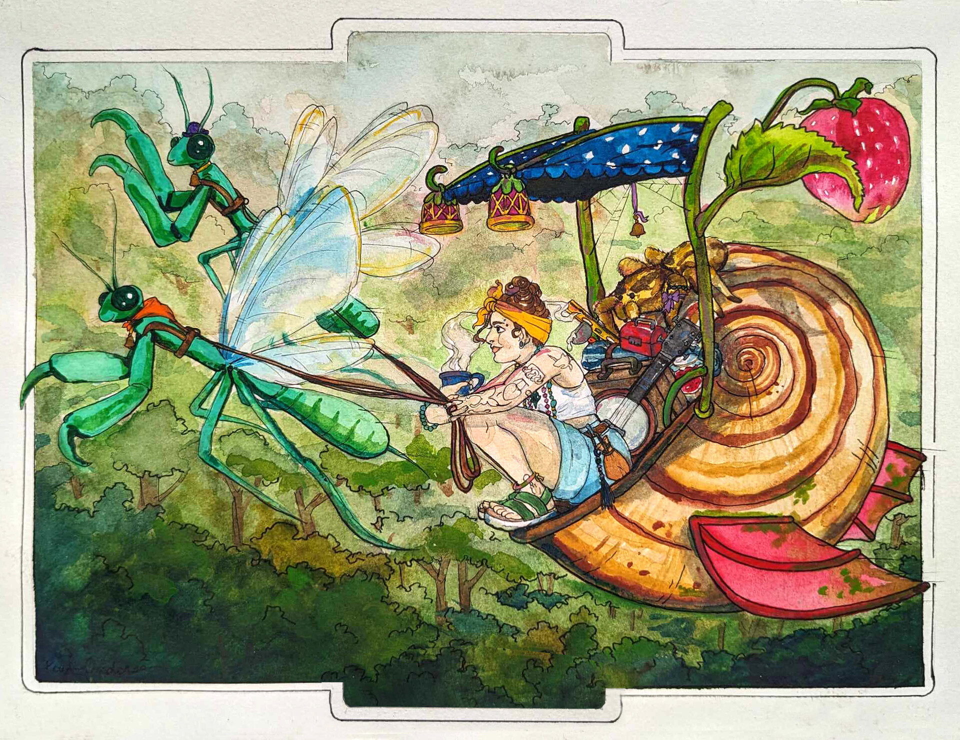 Kaylin Andersen - Watercolour Illustrations