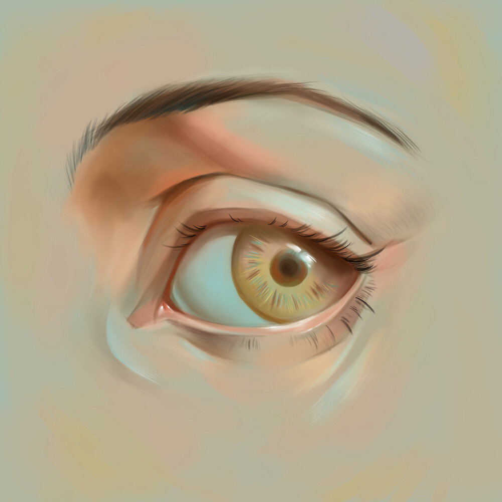 ArtStation - Human Anatomy - Eye Study