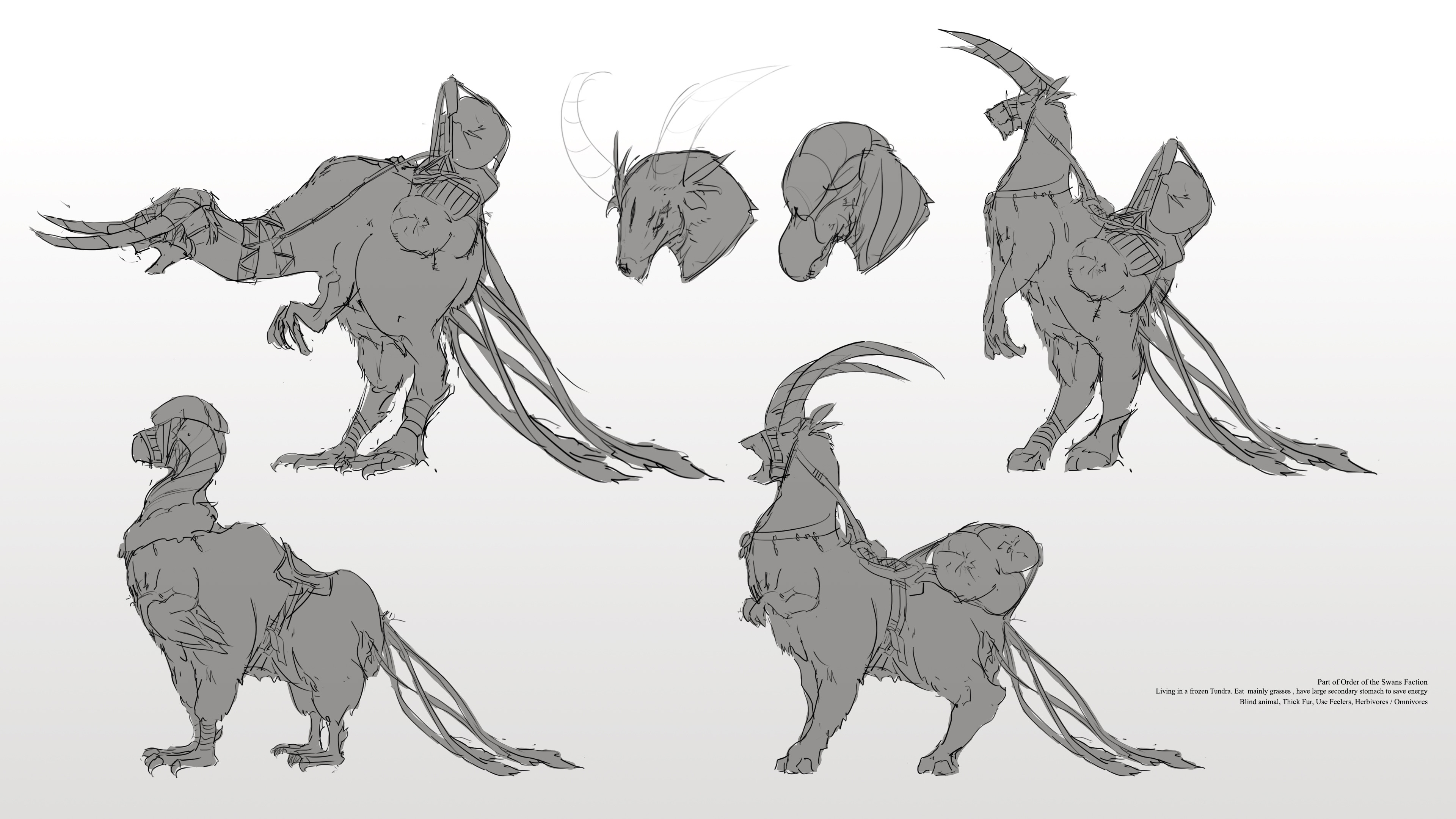 Daniel Christian Saliem - The Northern War