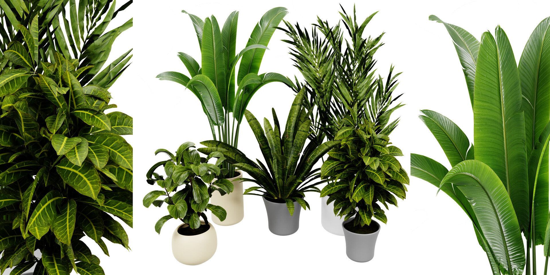 ArtStation - Collection plant vol 524 - blender model