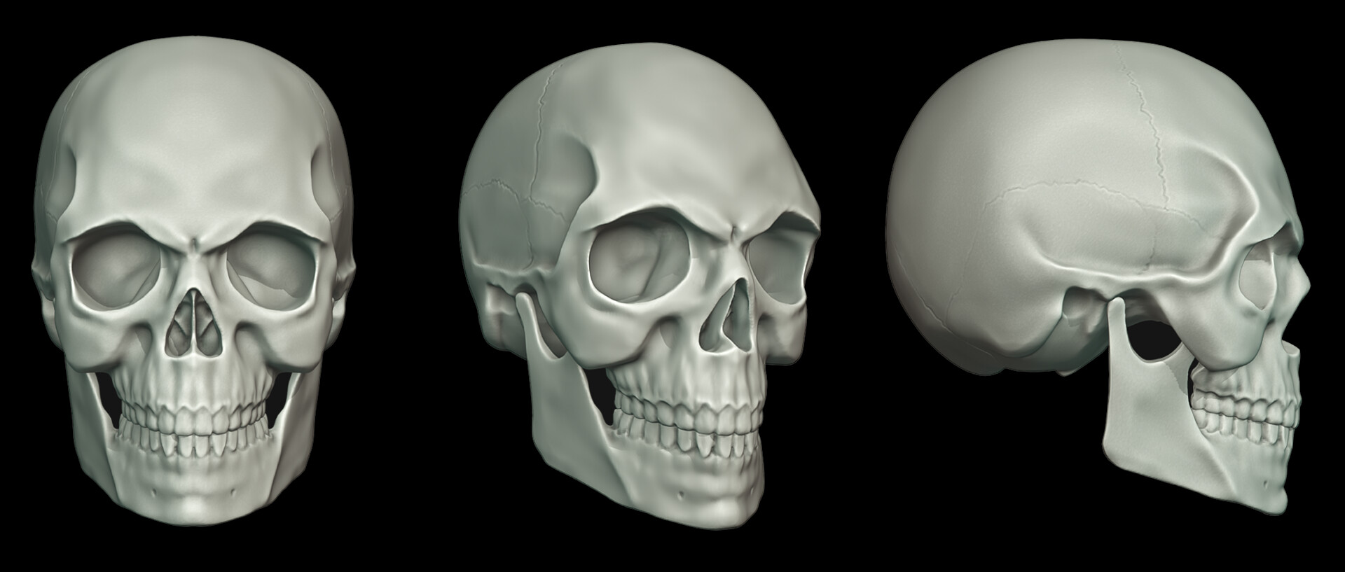 ArtStation - Skull Sculpt