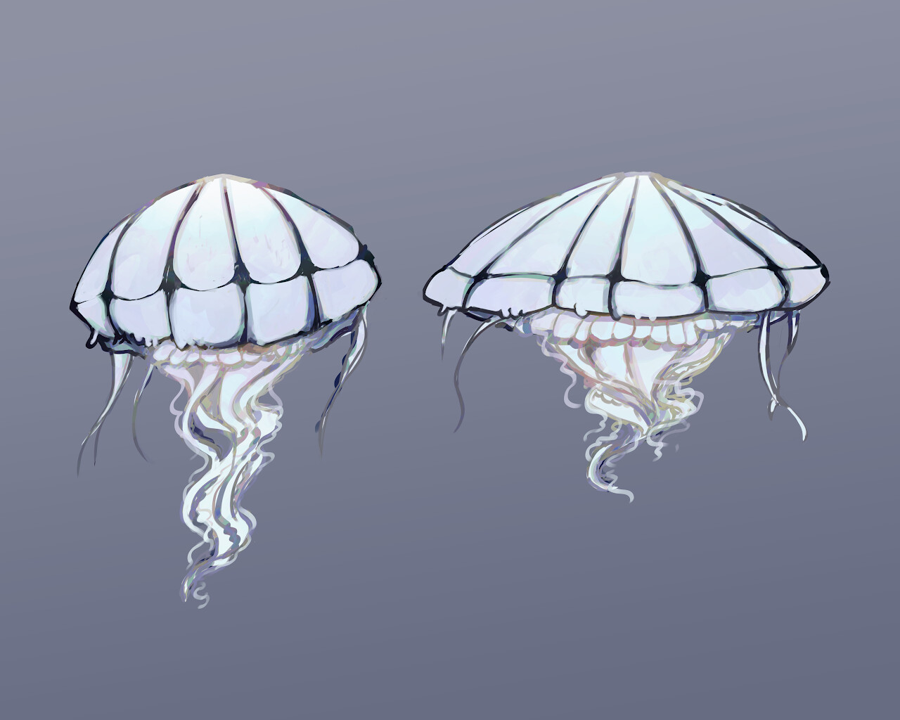 how to draw 3d jellyfish