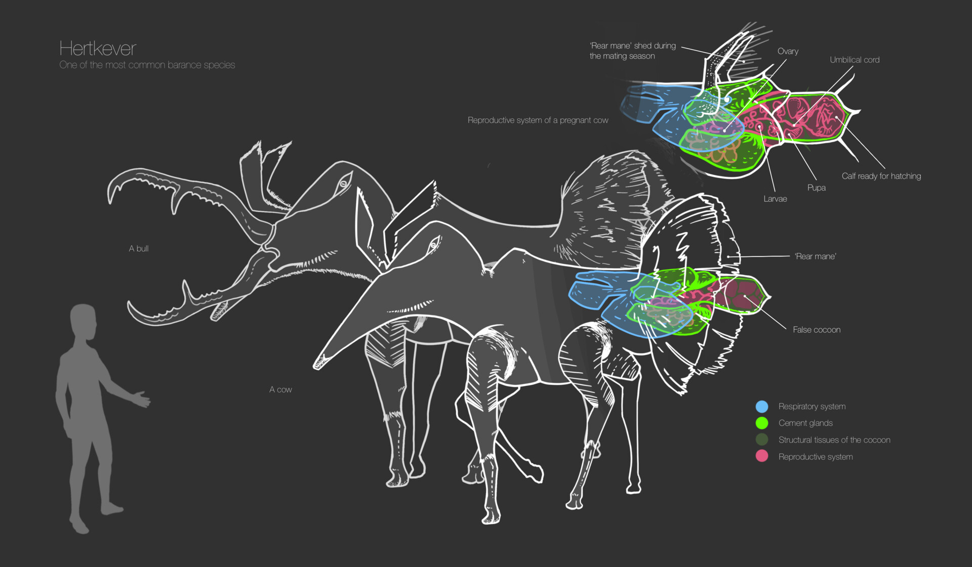ArtStation - Wildlife of the Salash Plains