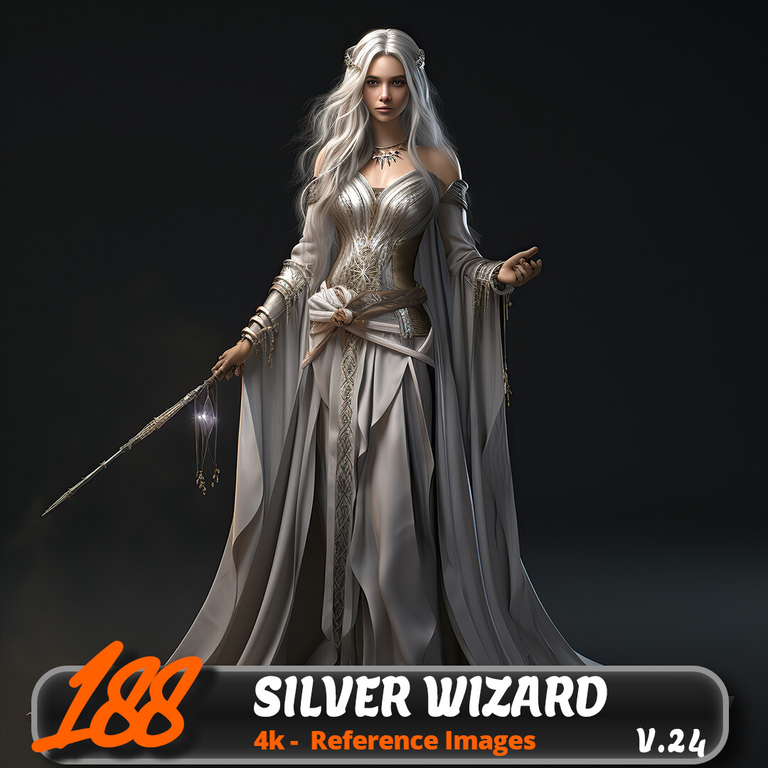 ArtStation - SILVER WIZARD VOL. 24/ 4K/ Reference Image