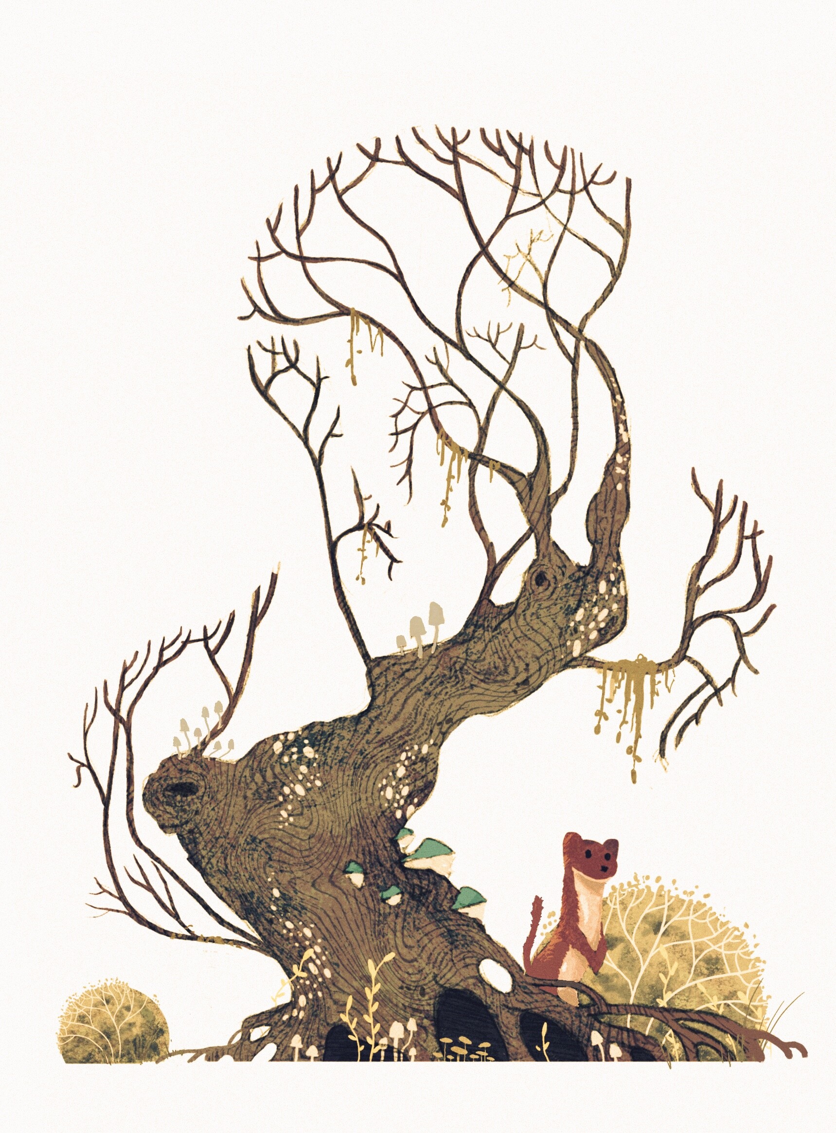 Lander Strijbol - Weasel