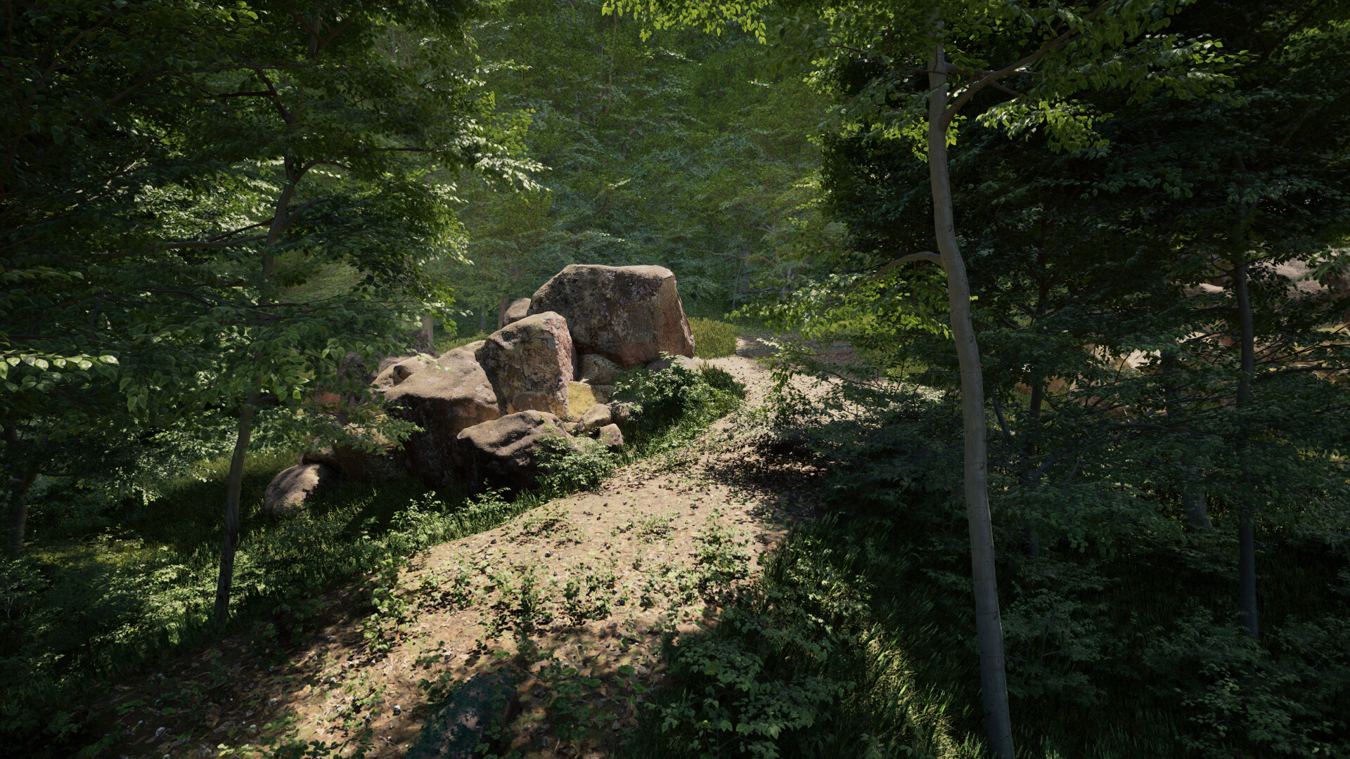 ArtStation - UE5 PCG Forest Environment