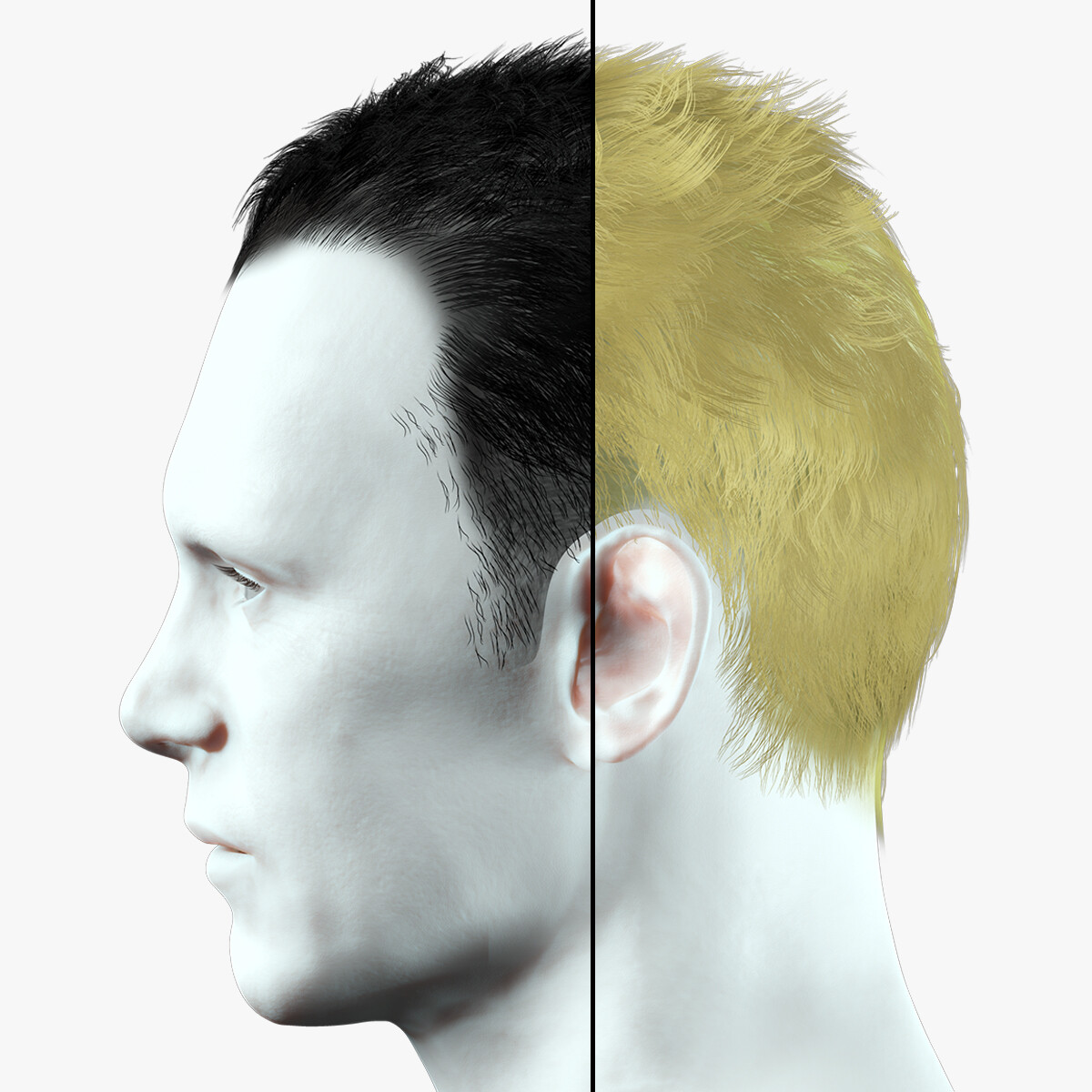 ArtStation - Realitstic Old Man Hairstyle