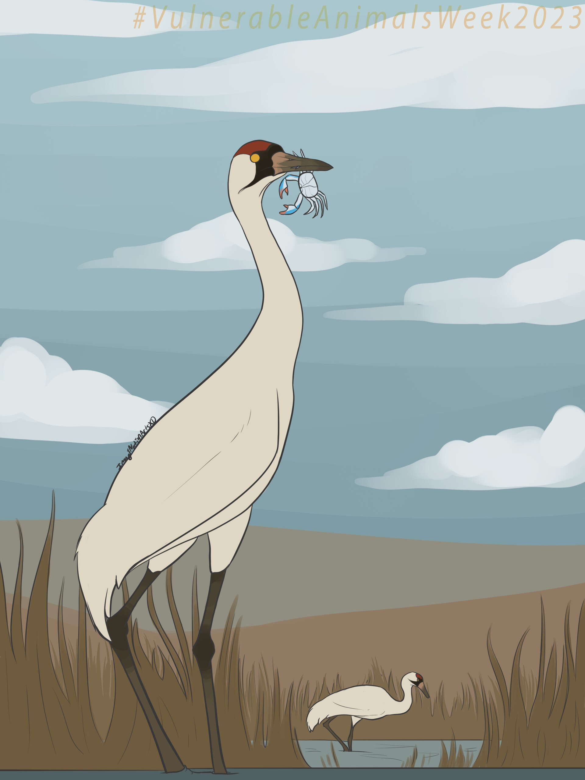 ArtStation - Vulnerable Animals Week '23 - Dance of the Whooping Cranes