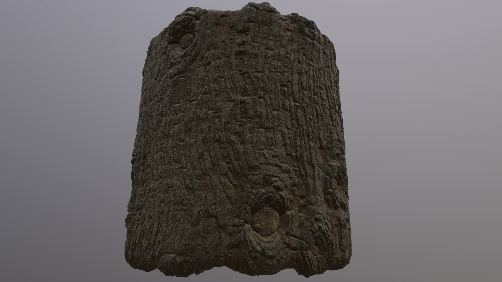 Khoa Do Nguyen Dang - Study Substance Designer - Tree Bark