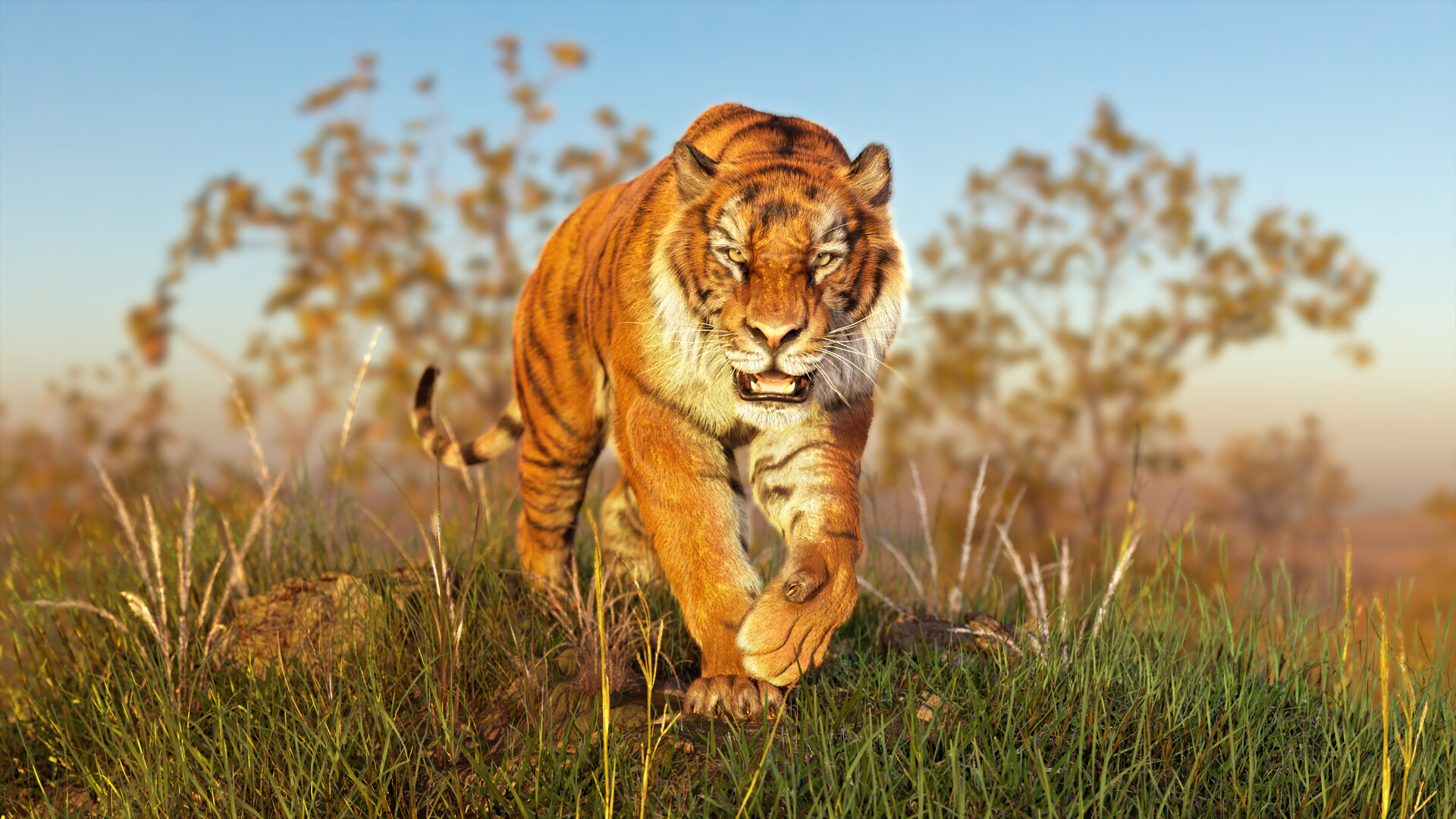 ArtStation - Tiger Anatomy