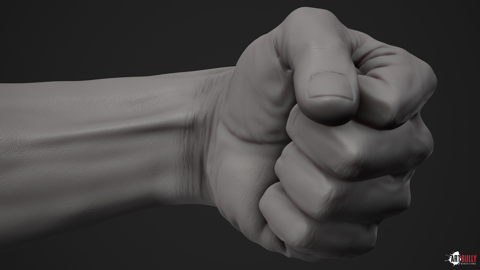 Abhishek Dixit - Fist | Hand - Anatomy Study