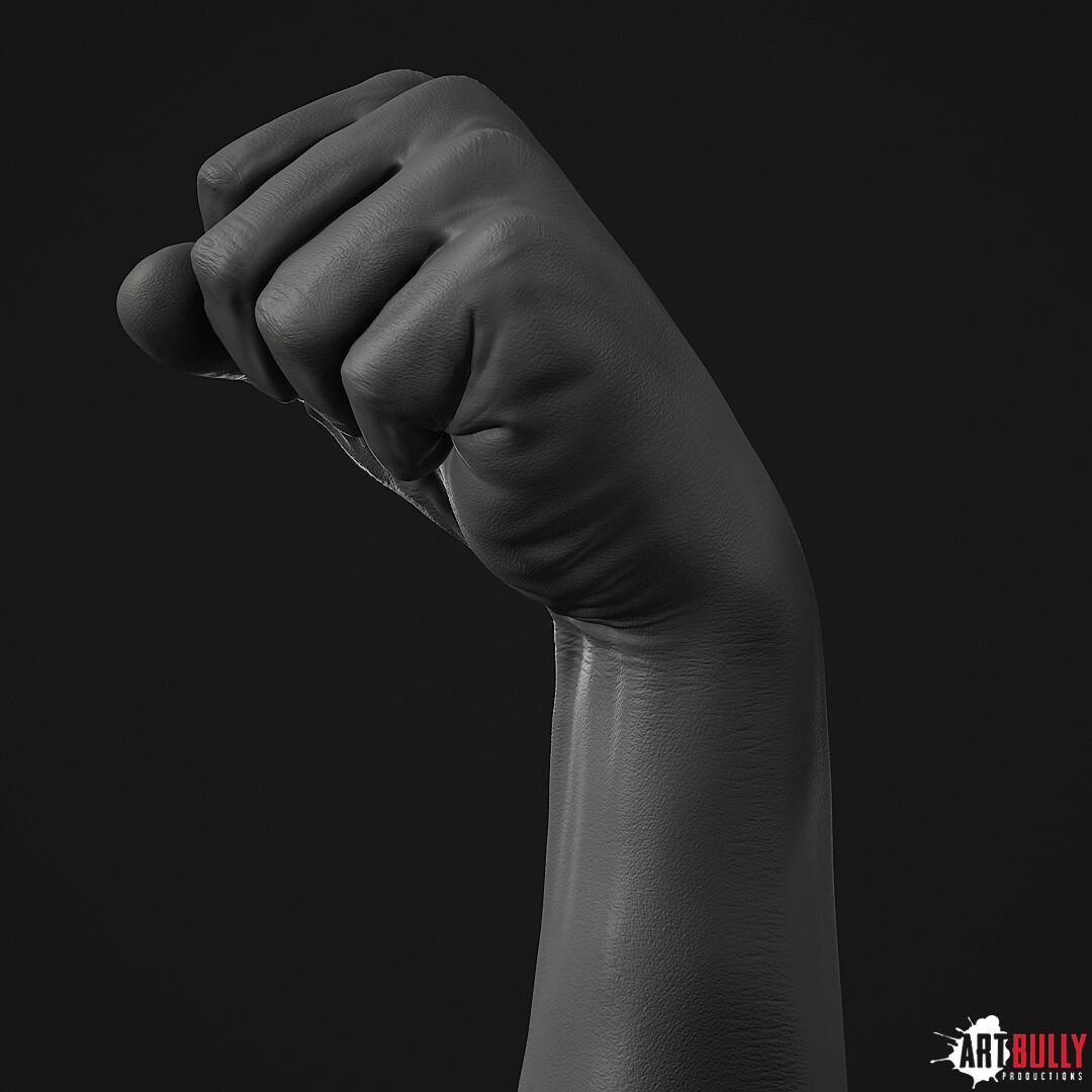 Abhishek Dixit - Fist | Hand - Anatomy Study