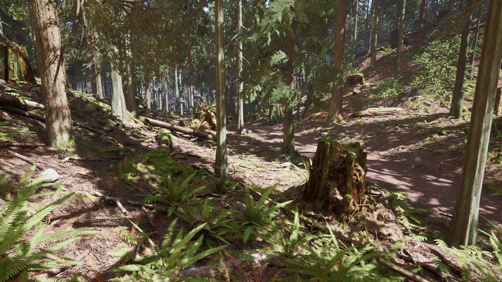 Peter Severud - Photogrammetry Forest Pack