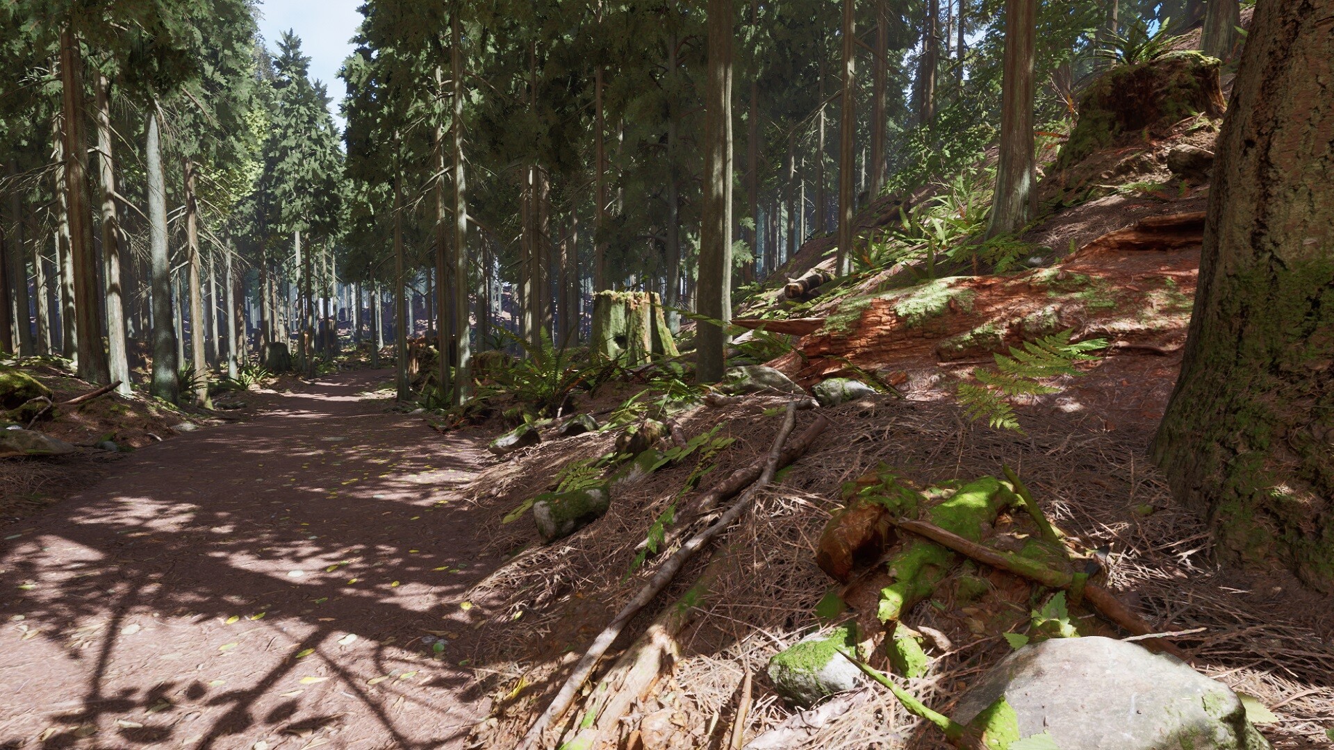 Peter Severud - Photogrammetry Forest Pack