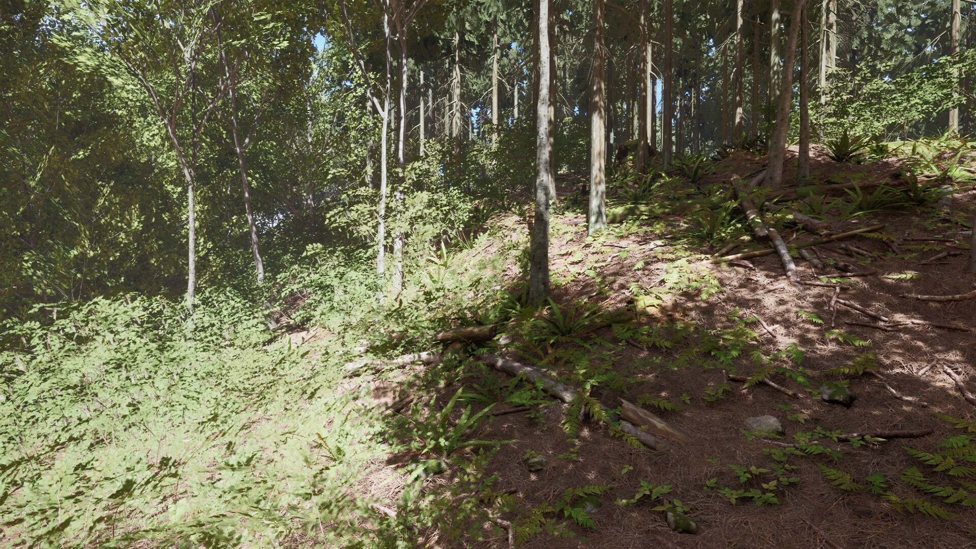 Peter Severud - Photogrammetry Forest Pack