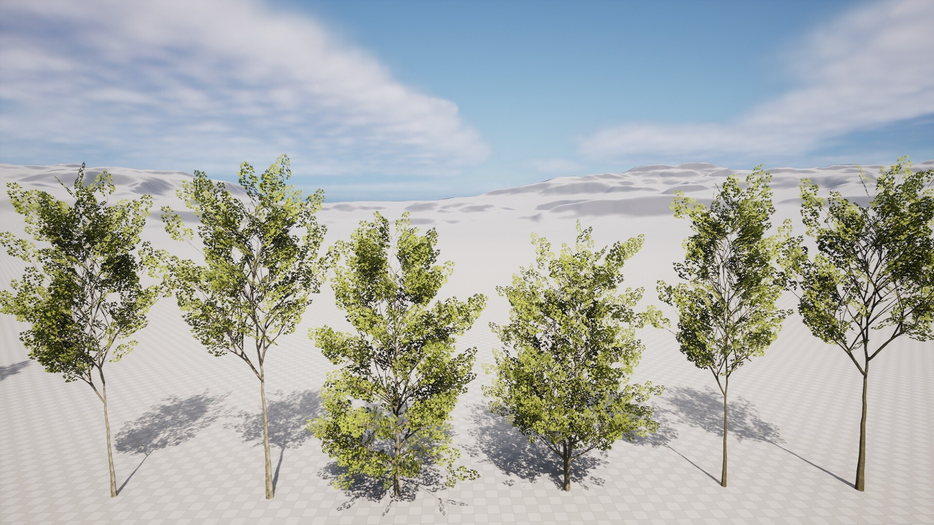 Peter Severud - Photogrammetry Forest Pack