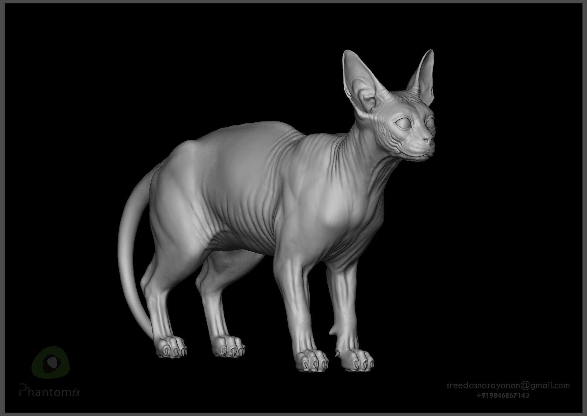 Artstation Sphynix Cat Sculpting