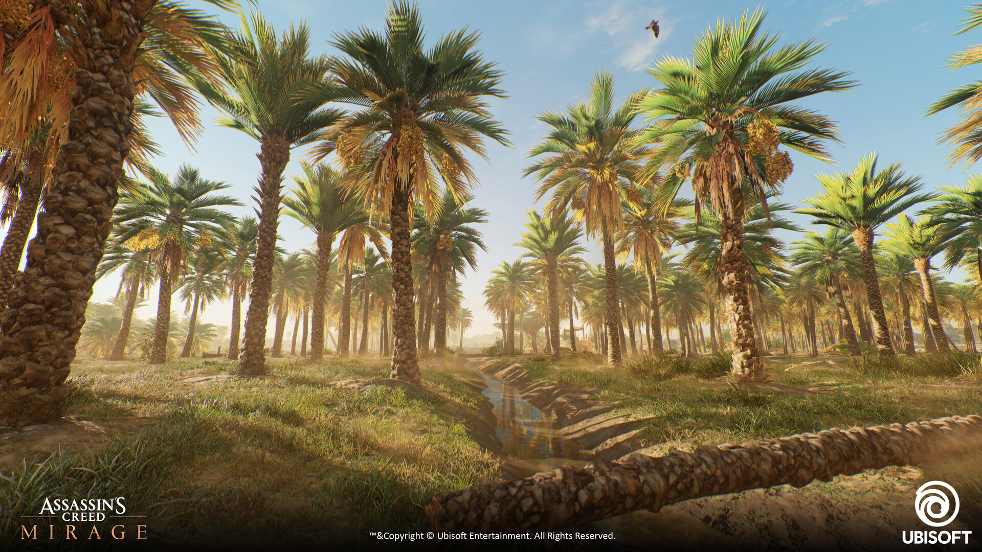 Hoo Wai Khinn - Assassin's Creed Mirage - Biomes/Wilderness