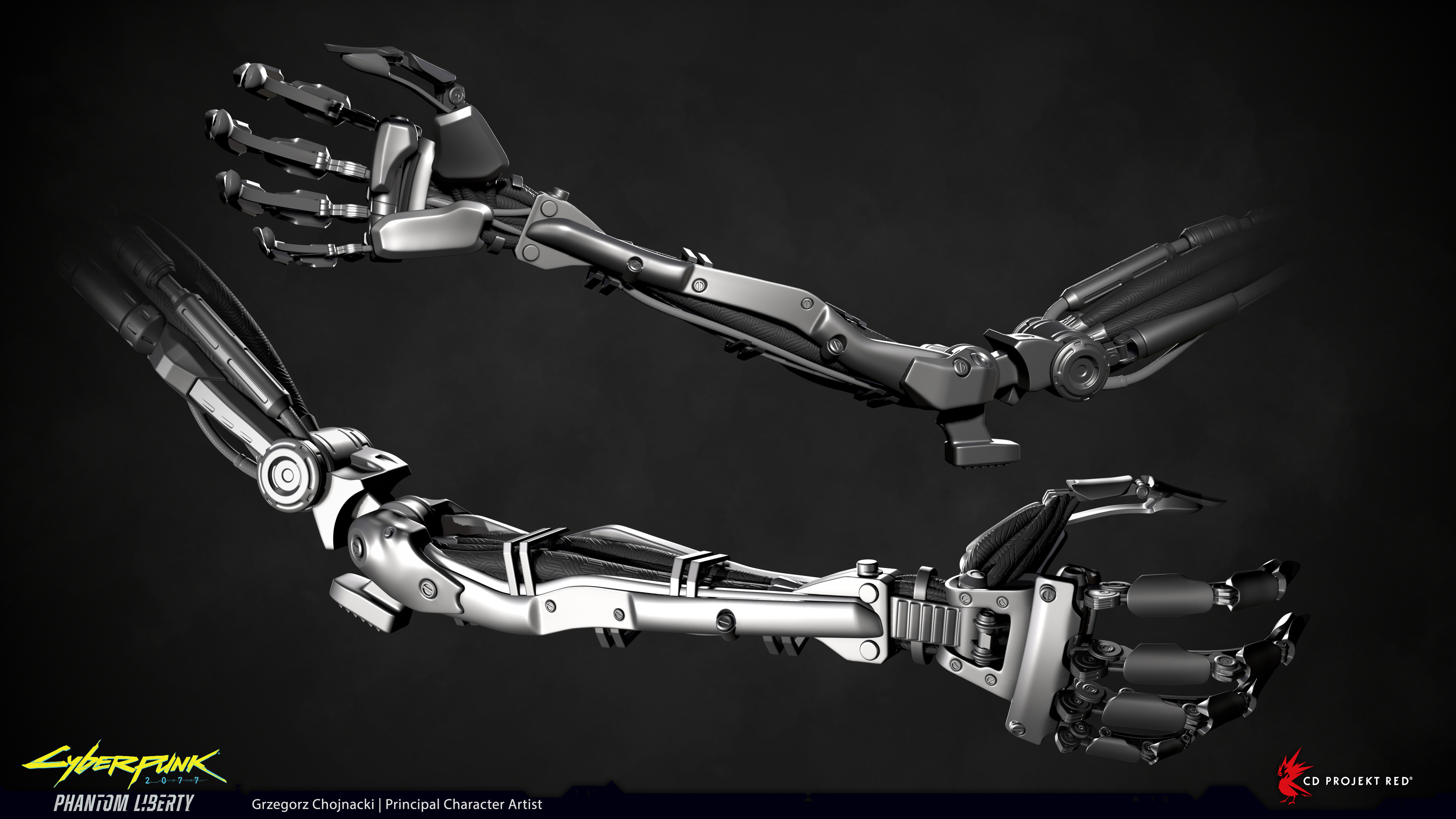Grzegorz Chojnacki - Cyberpunk 2077: Phantom Liberty - Songbird