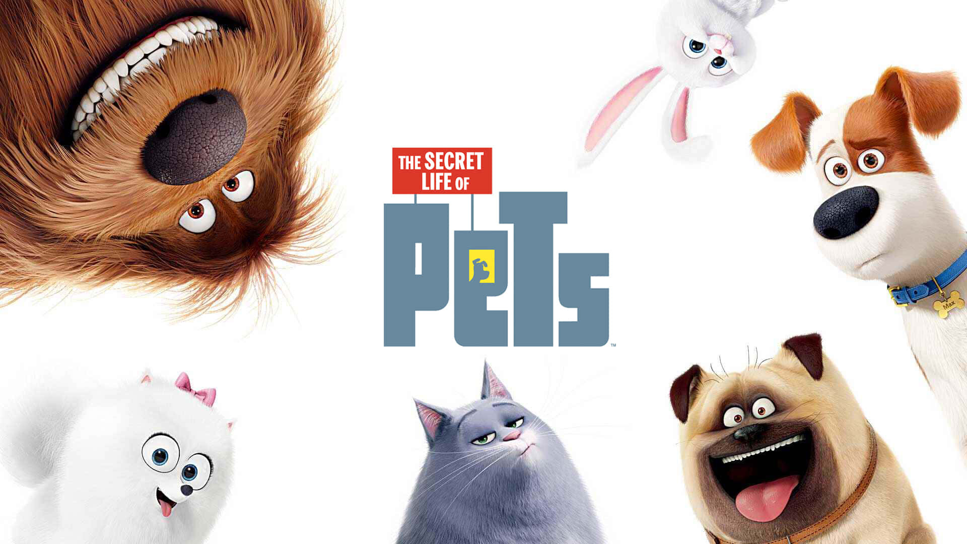 ArtStation - PETS 2 BG REDESIGN