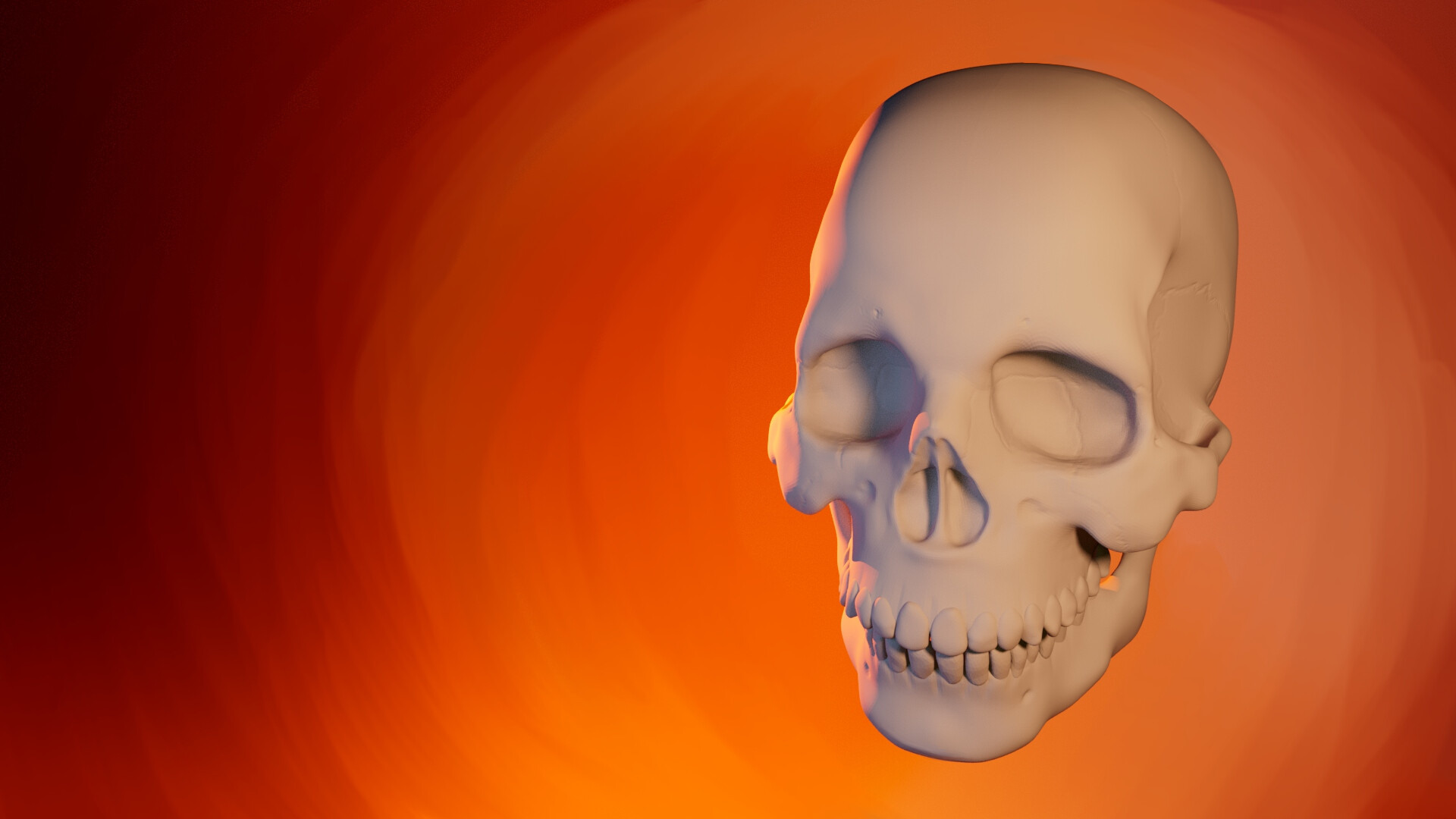 ArtStation - Skull Sculpt - Anatomy Study