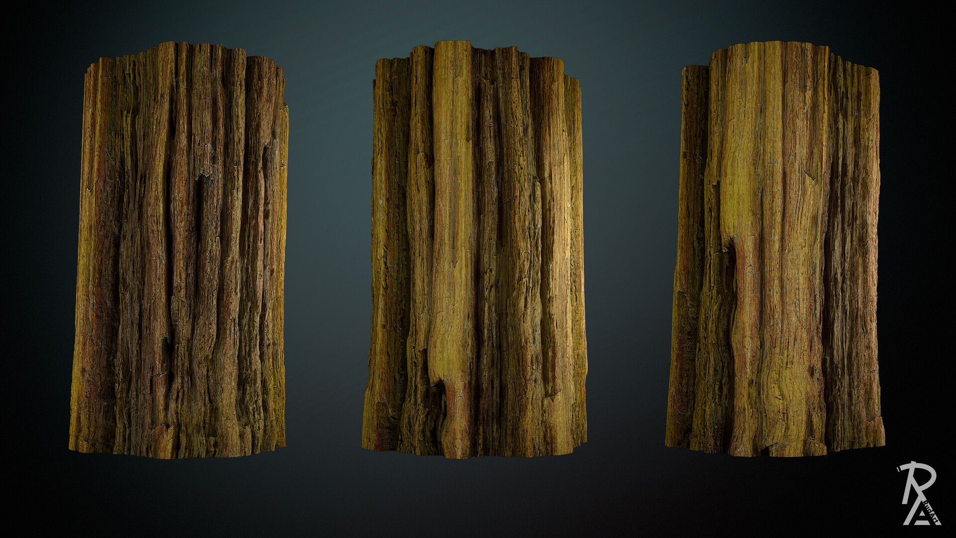 ArtStation - Bark Study